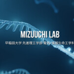 水内研究室 (分子生命進化学研究室) ｜ 早稲田大学 理工学術院 先進理工学部 電気・情報生命工学科