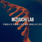 水内研究室 (分子生命進化学研究室) ｜ 早稲田大学 理工学術院 先進理工学部 電気・情報生命工学科